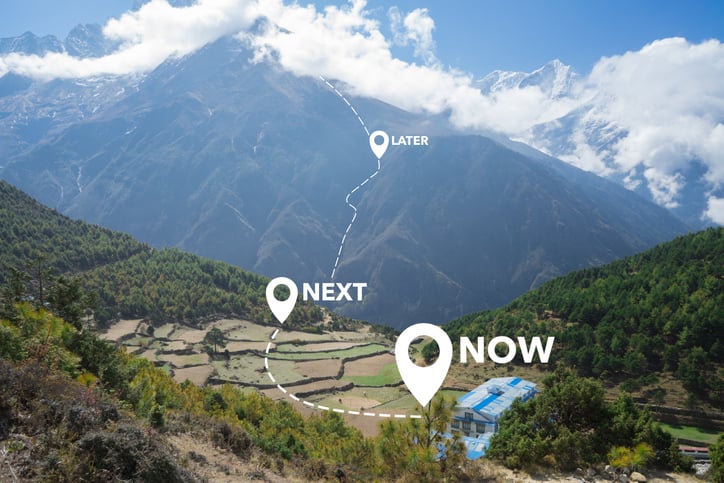 The 7 Phases of the Growth Life Cycle