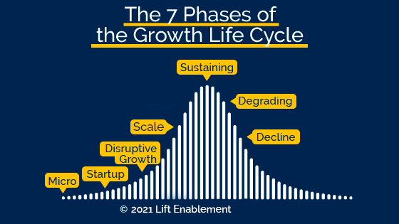 The 7 Phases of the Growth Life Cycle